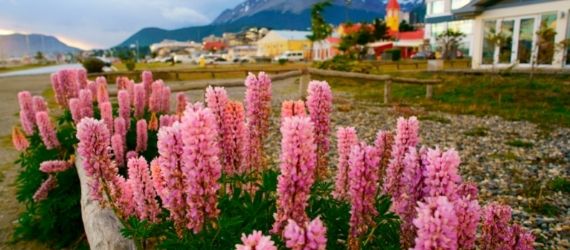Como é viajar para a Patagônia na Primavera?